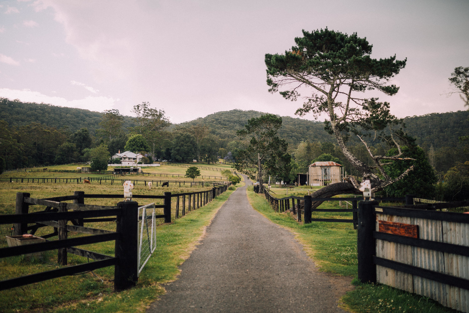 The ultimate guide to farm stays out of Sydney | Inner West Mums